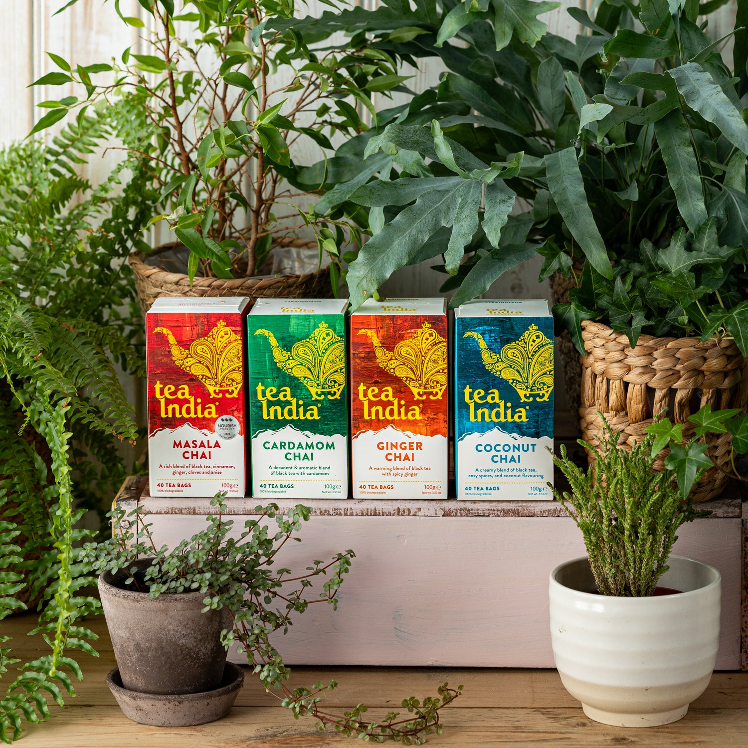 Authentic 'Real' Masala Chai Tea Bags | Buy Online | Tea India